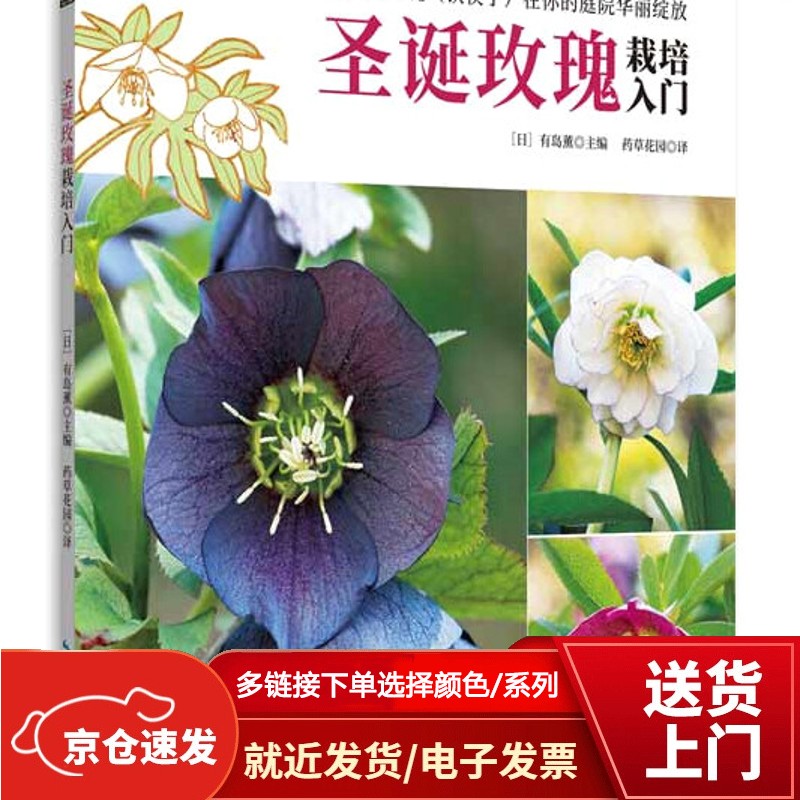 圣诞玫瑰栽培入门【以所选系列为准】【已您下单选择的系列、颜色发货】