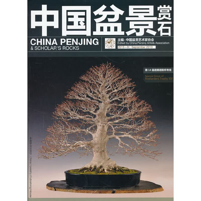 中国盆景赏石2013-9