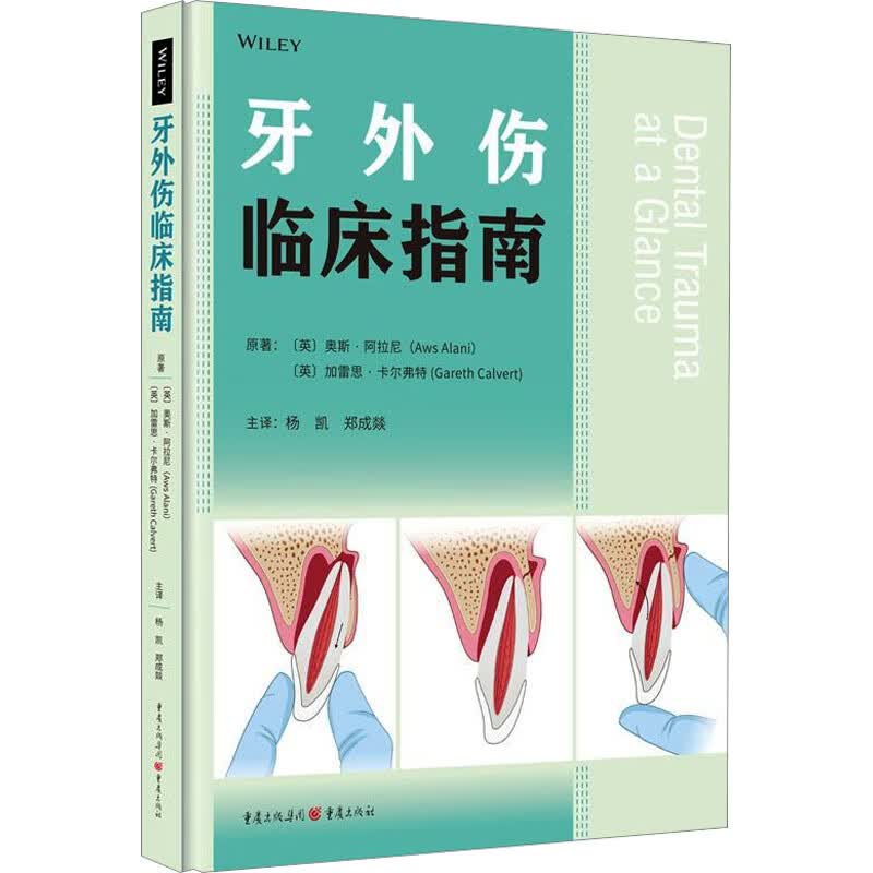 牙外伤临床指南 图书