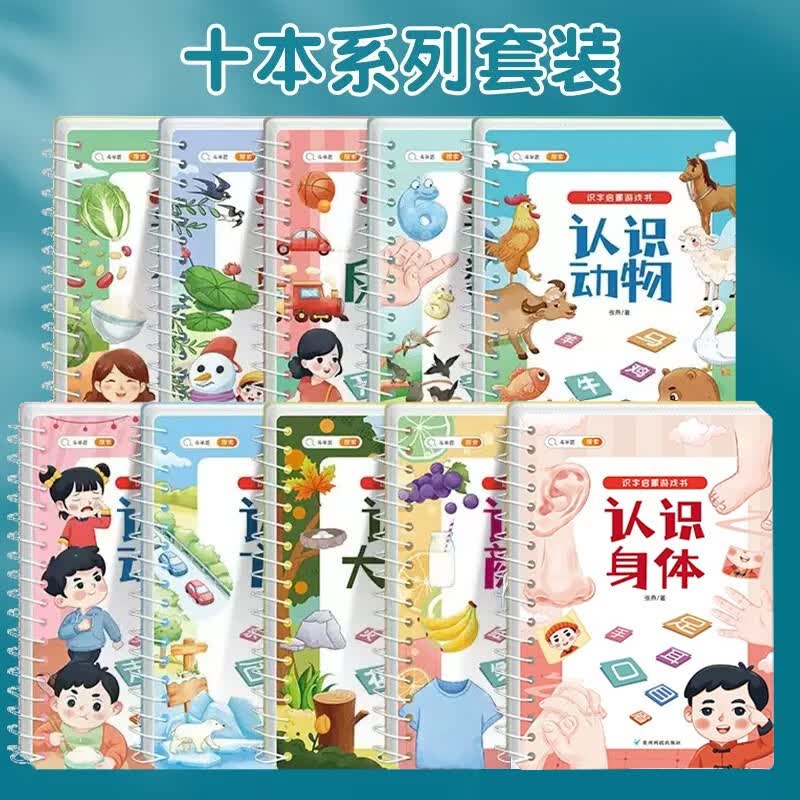 斗半匠识字启蒙游戏书早教书幼儿象形识字书早教宝宝书本启蒙书儿童识字书幼儿认字神器识字卡 十本全套