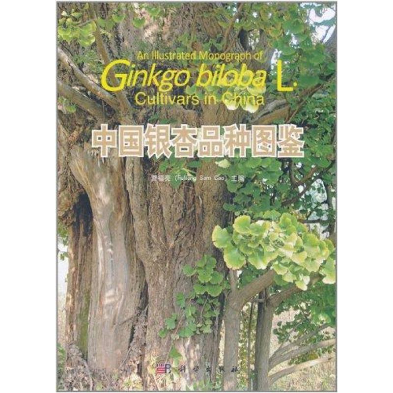 中国银杏品种图鉴 曹福亮 作 书籍