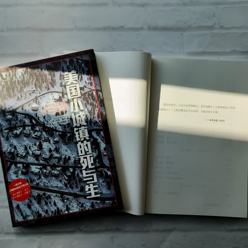 美国小城镇的死与生 译文纪实 美尼克雷丁著 纽约时报年度值得关注图书 美国中部城镇空心化后的现状的新闻 新书