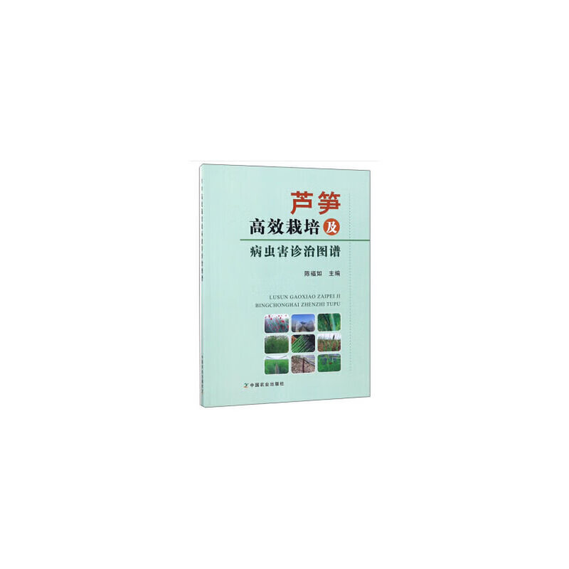 芦笋高效栽培及病虫害诊治图谱