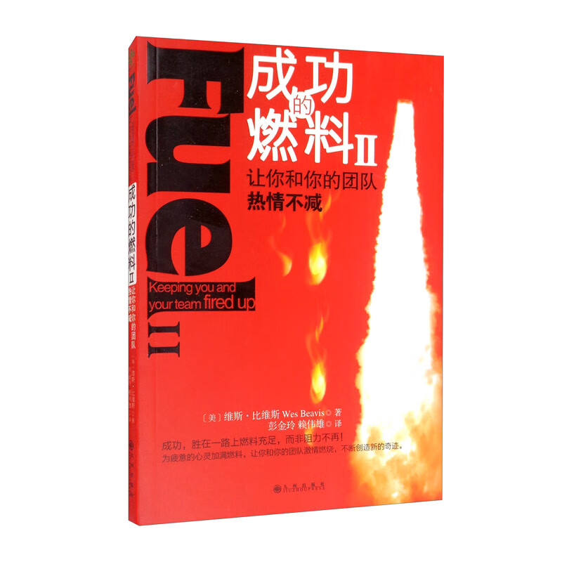 成功的燃料II