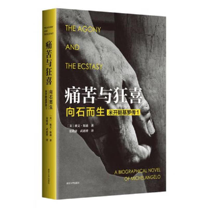痛苦与狂喜:向石而生：米开朗基罗传①