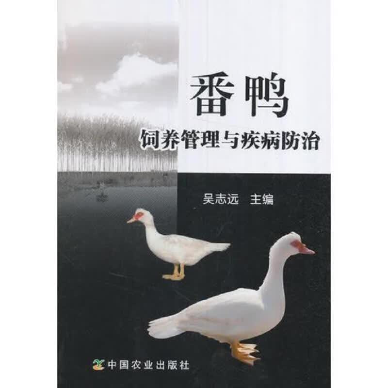 番鸭饲养管理与疾病防治