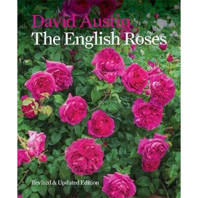 English Roses