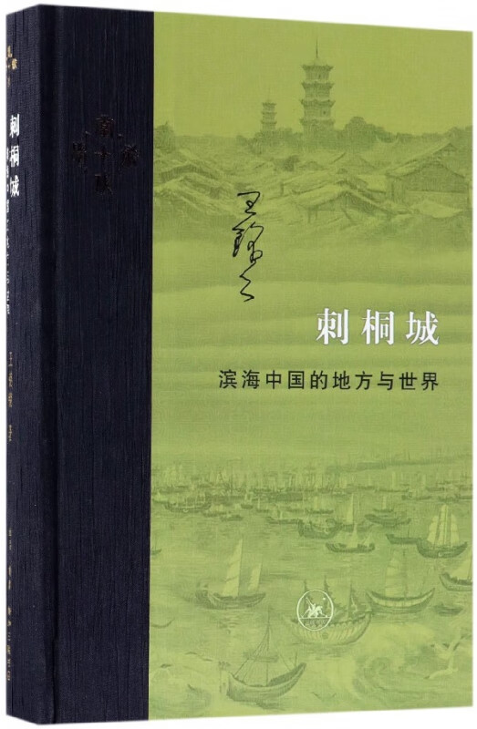 刺桐城 滨海中国的地方与世界 精装 王铭铭著 以滨海城市泉州为对象 区域史和城市发展史 中国地方史志 生活读书新知三联书店