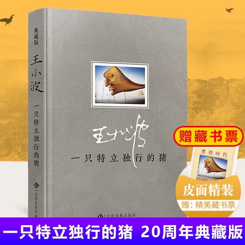 阔步-一只特立独行的猪对生活的设置中国文学读物名家作品王小波经典的七部代表作散文随笔关于同性恋问题