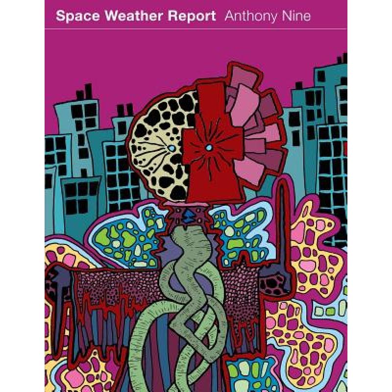 Space Weather Report