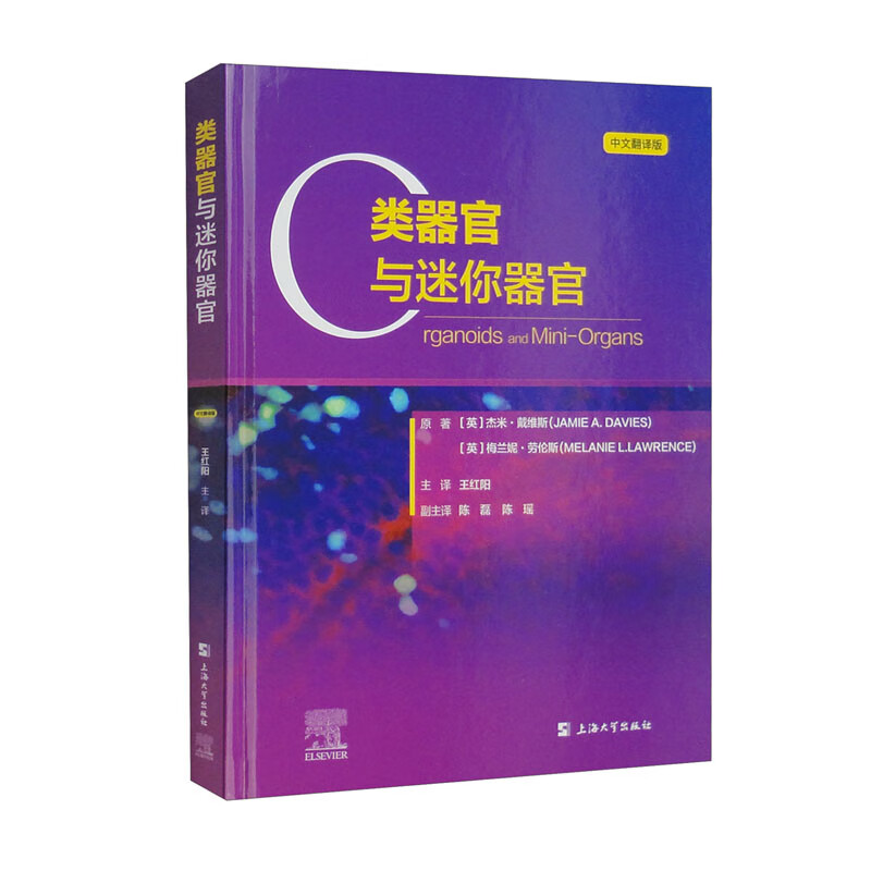 类器官与迷你器官