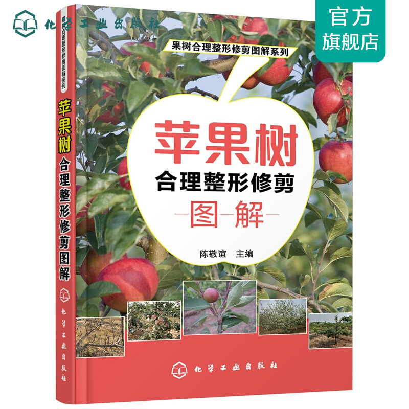 果树合理整形修剪图解系列--苹果树合理整形修剪图解