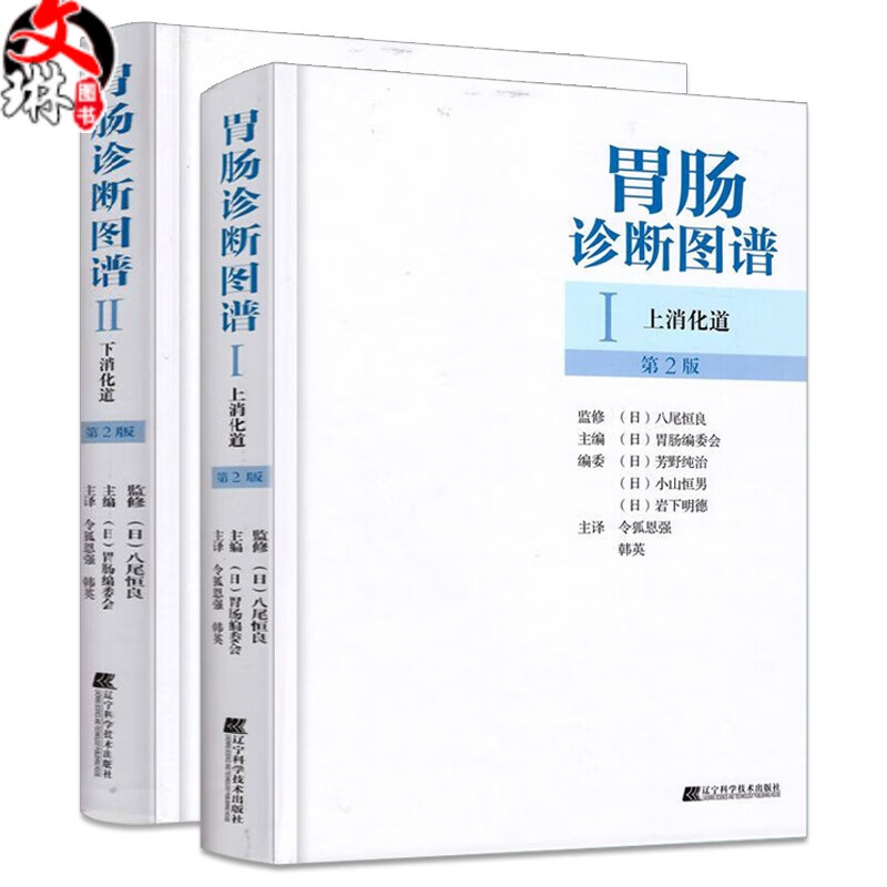 2本现货 胃肠诊断图谱 上下消化道第2二版精装套装2册 胃肠病学诊断技术 临床胃肠病学图谱 实用