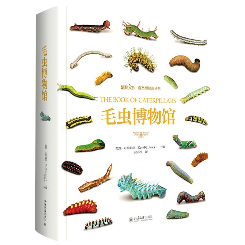 毛虫博物馆(精)/自然博物馆丛书/博物文库