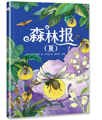 同步课外阅读书系 森林（夏）
