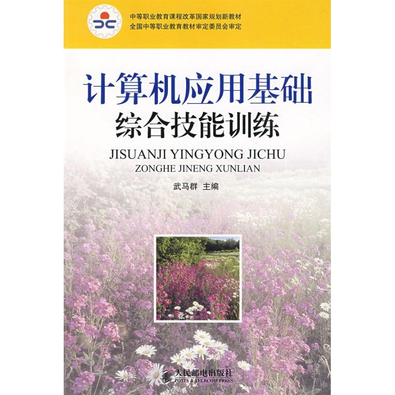 计算机应用基础综合技能训练 武马群 主编 作 书籍