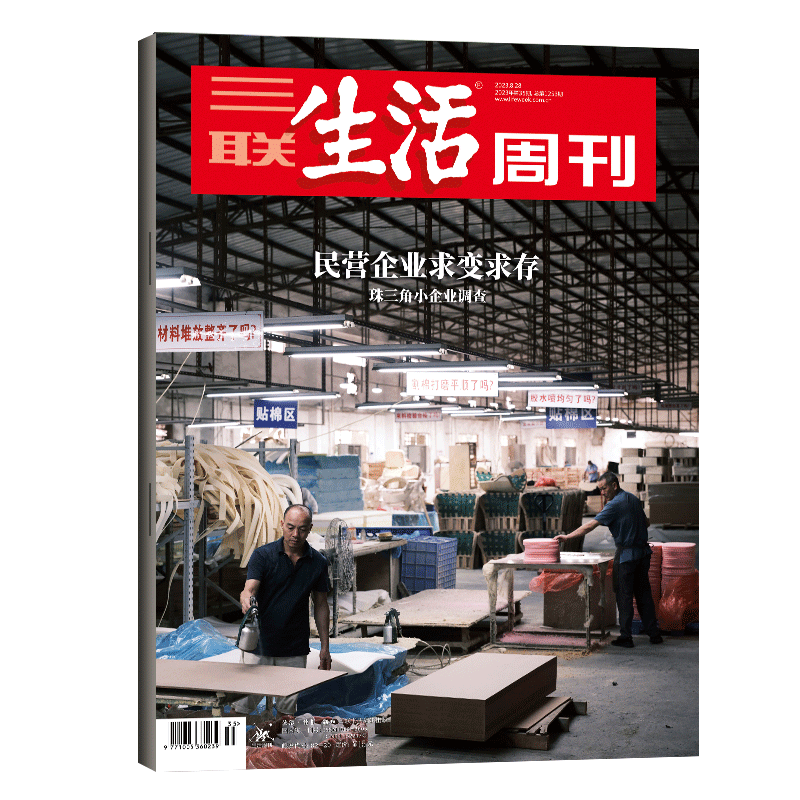 三联生活周刊杂志2023年8月21日第34期 预售第35期 单本自选（1-30.31.32期）新闻时政热点时事资讯生活 2023年8月28日第35期：民营企业求变求存