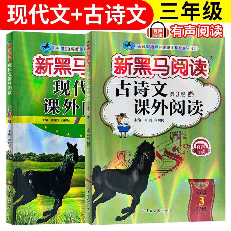 套装2册 2024新黑马阅读 三年级语文现代课外文阅读+古诗文课外阅读 阅读理解三年级语文教材同步课外文言文现代文古诗文阅读训练