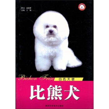 白色天使:比熊犬 陕西科学技术出版社