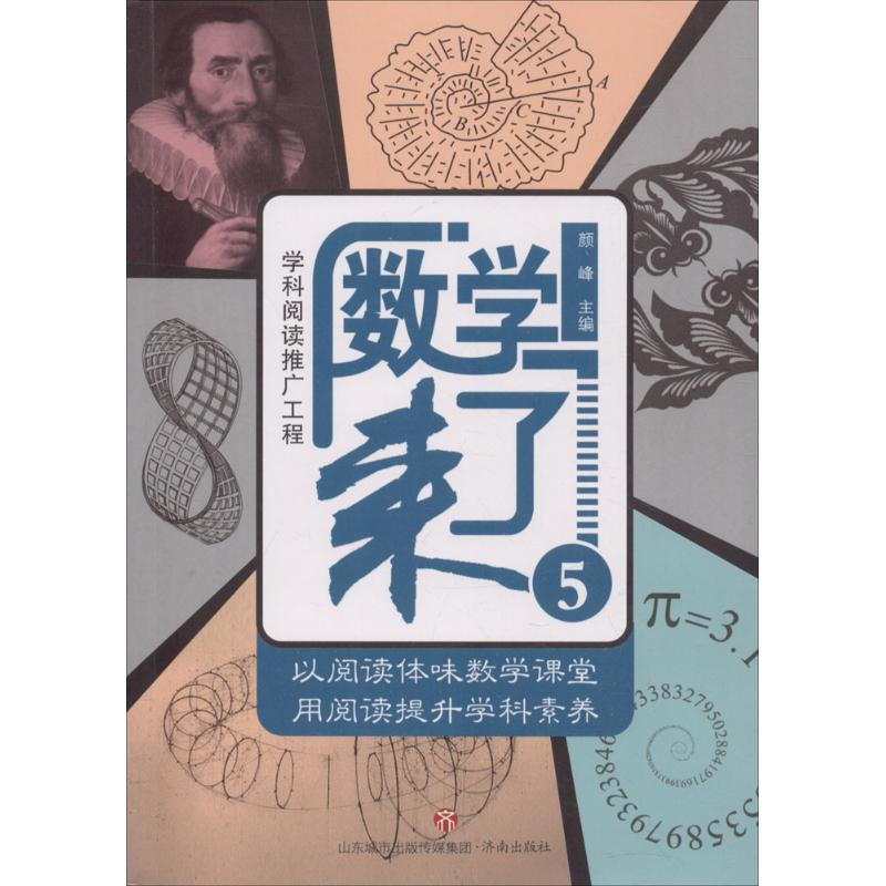 数学来了(5) 颜峰 主编 书籍