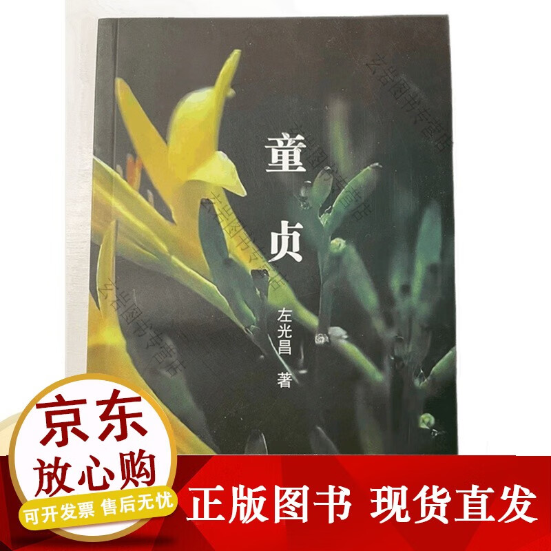 k童贞