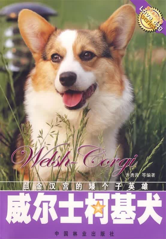 威尔士柯基犬