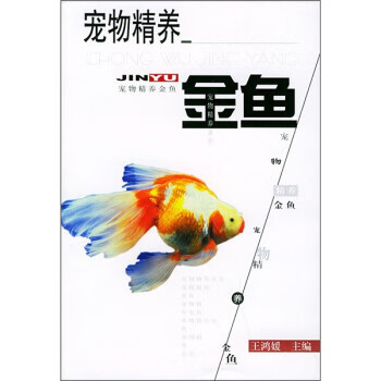 宠物精养金鱼【，放心购买】