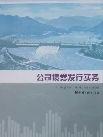 公司债券发行实务