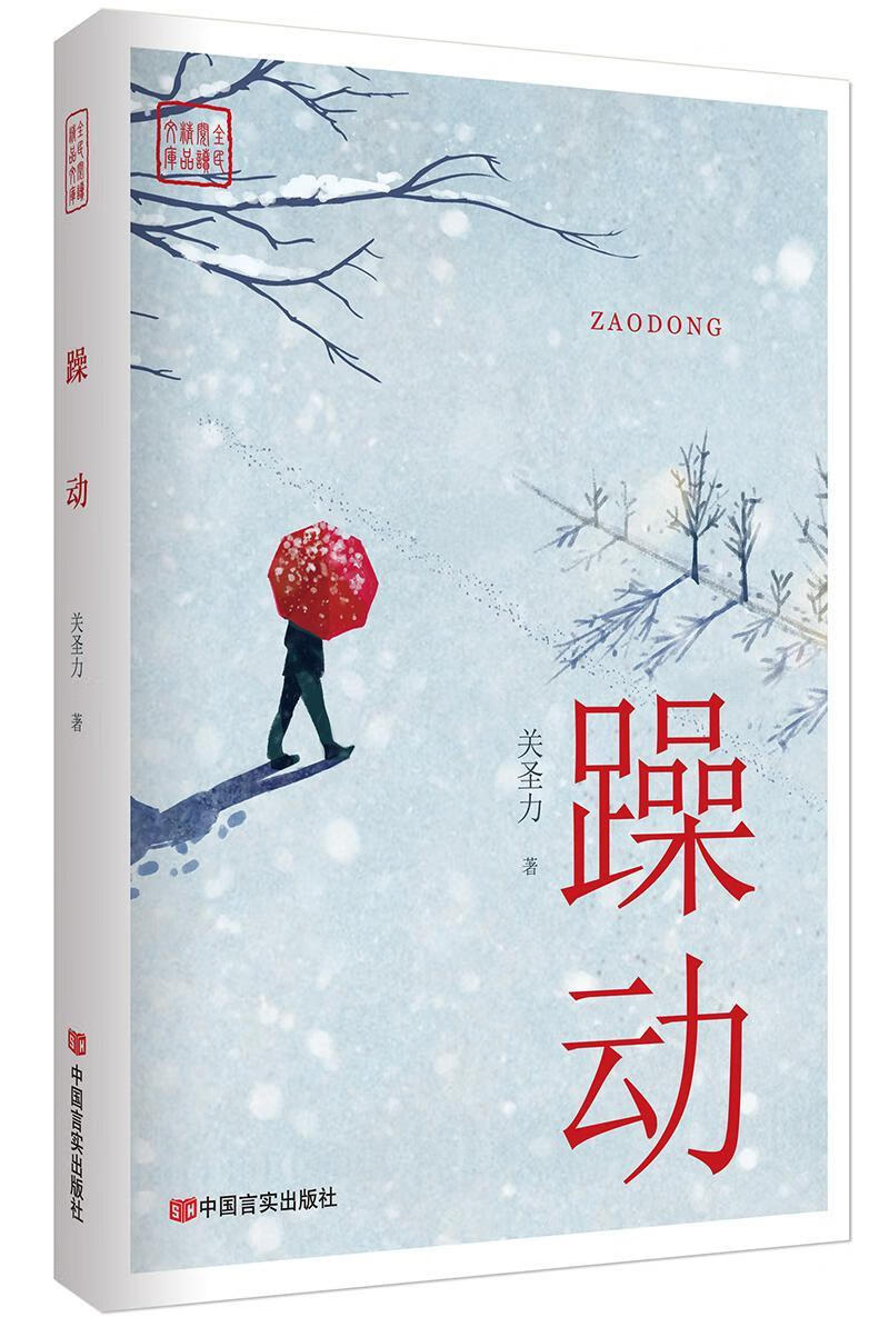 躁动 小说  图书