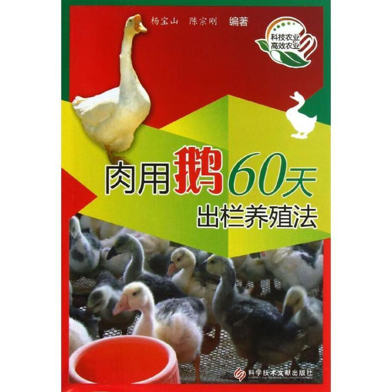 肉用鹅60天出栏养殖法