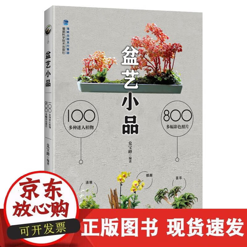 【现货】盆艺小品