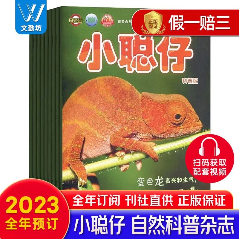小聪仔自然科普版杂志/小聪仔幼儿版杂志/小聪仔婴儿版杂志 2023年9月起订全年订阅2023年9月-2024年8月 2-8岁幼儿益智科普少儿科普智力开发杂志 小聪仔科普版杂志23年全年 小
