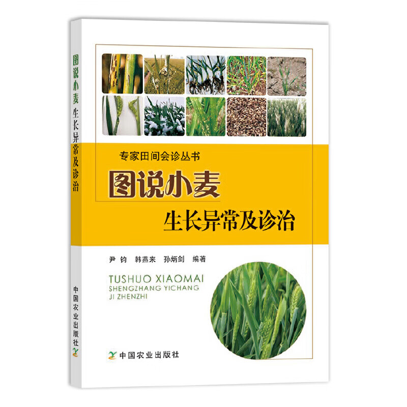 图说小麦生长异常及诊治 农作物种植玉米种植技术 中国农业种植书籍大全 小麦农业种植技术大全书小麦