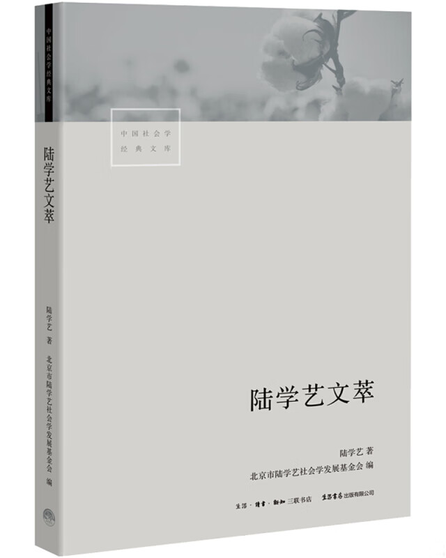 小镇喧嚣 中国社会学经典文库 13册 当代中国社会分层 毅著迎检开 陆学艺文萃