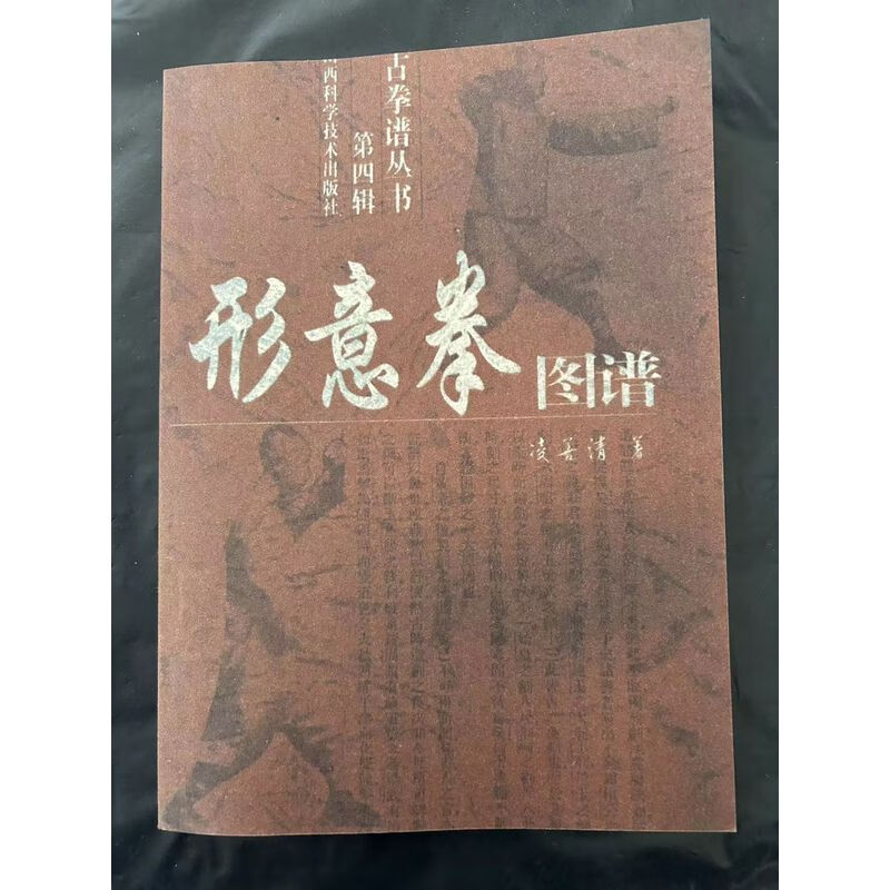 形意拳图谱 经典功法武学武功书 武术修炼功夫武艺书籍 现货