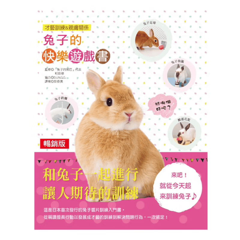 现货原版进口兔子的快乐游戏书（畅销版）汉欣9789576867859