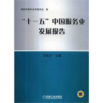 “十一五”中国服务业发展报告 胡祖才主编