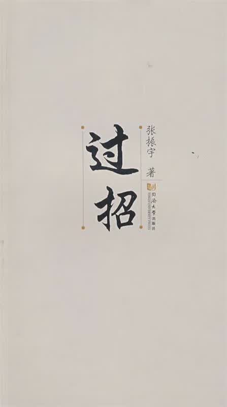 过招 张振宇著 同济大学出版社