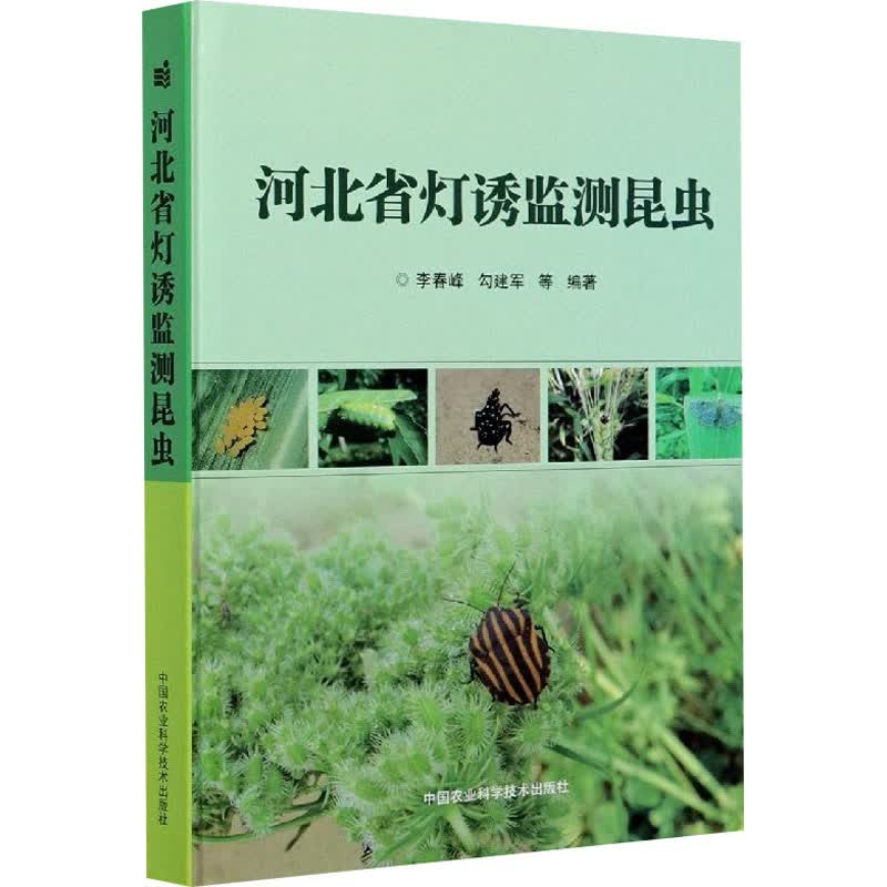 河北省灯诱监测昆虫