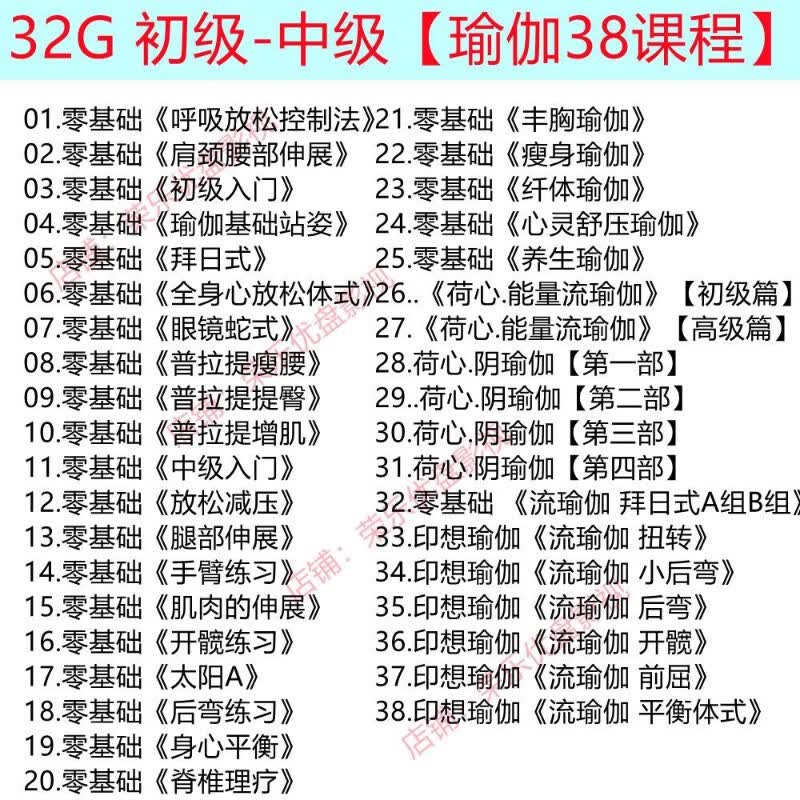 瑜伽教学课程U盘64G 自学零基础初级中级教程MP4优盘 32G 瑜伽(初级-中级)39课