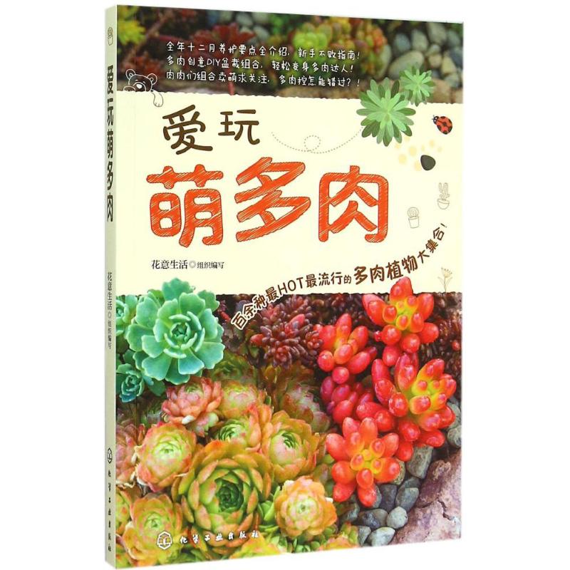 爱玩萌多肉