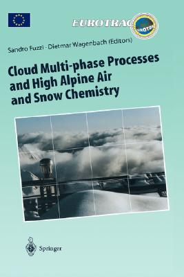 Cloud Multi-phase Processes and High Alpine Air and Snow Chemistry