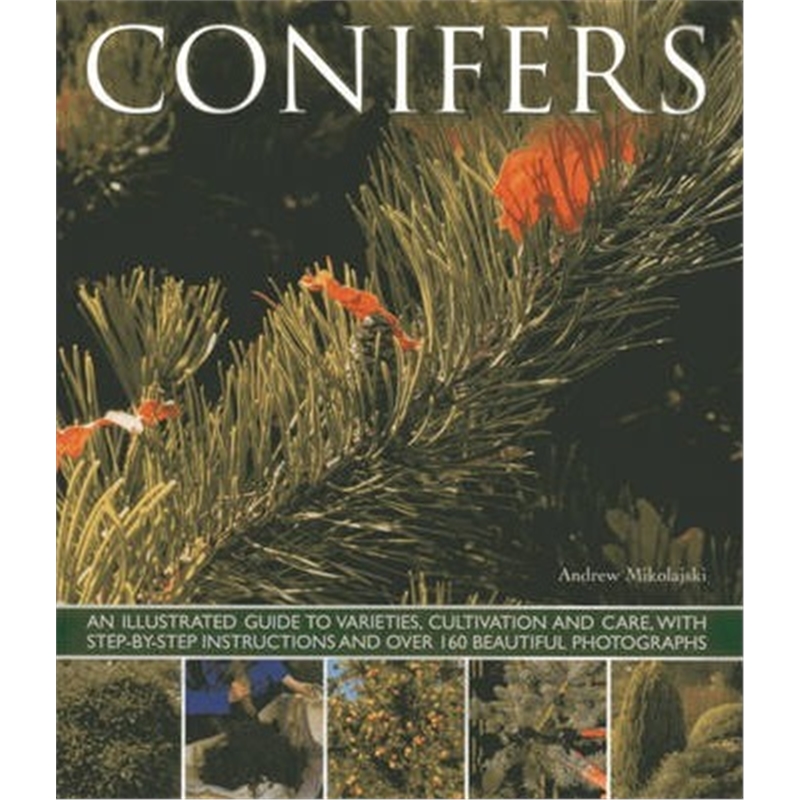 Conifers