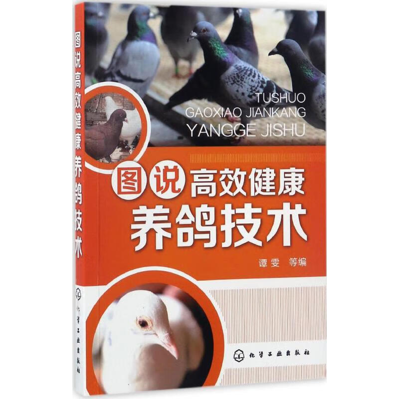 图说高效健康养鸽技术