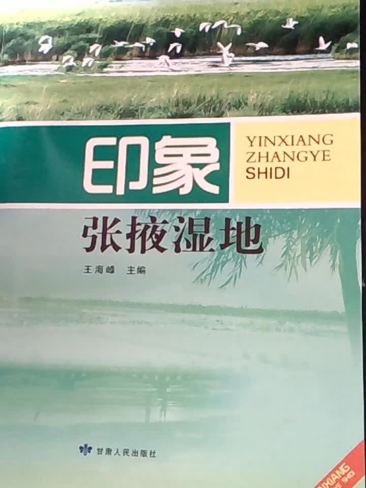 印象张掖湿地