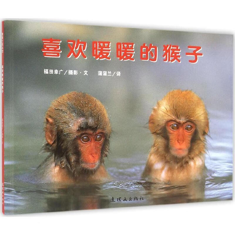 喜欢暖暖的猴子 福田幸广 摄影文,蒲蒲兰 译