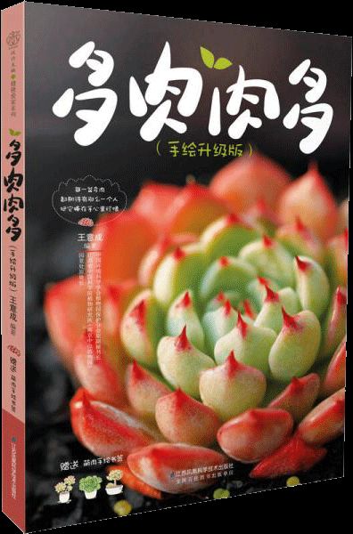 多肉肉多手绘升级版：手绘多肉时光邂逅多肉的美妙世界9787553756424