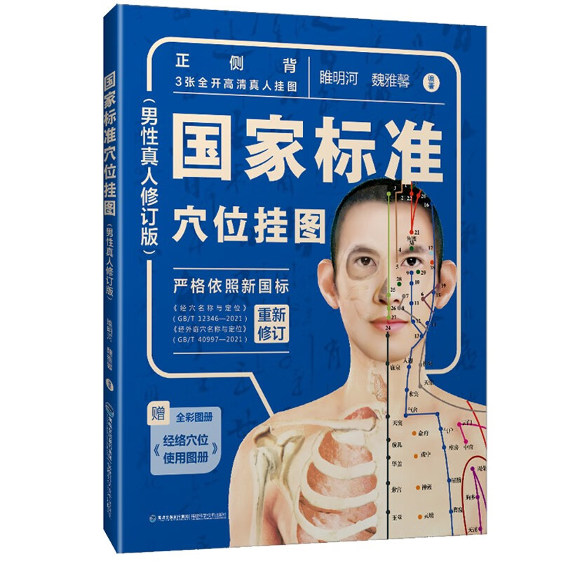 新书 国家标准穴位挂图（男性真人修订版）中医养生书 图解穴位书籍 经络穴位入门教程书籍 家庭保健书籍 男性保健养生参考书
