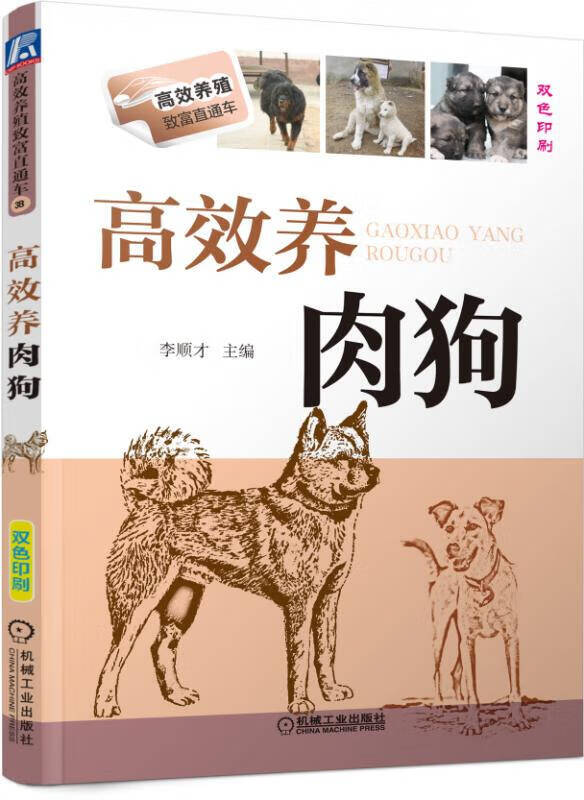 【书】高效养肉狗