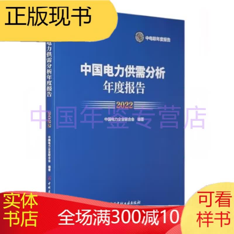 中国电力 供需分析年度报告2022